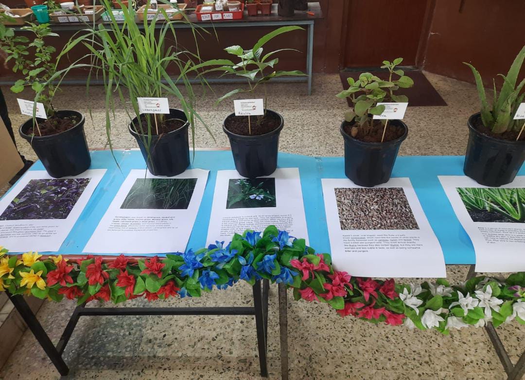 PTV EMS ‘Van Mahotsav’ week was celebrated from 1st to 8th of July 2023 ...